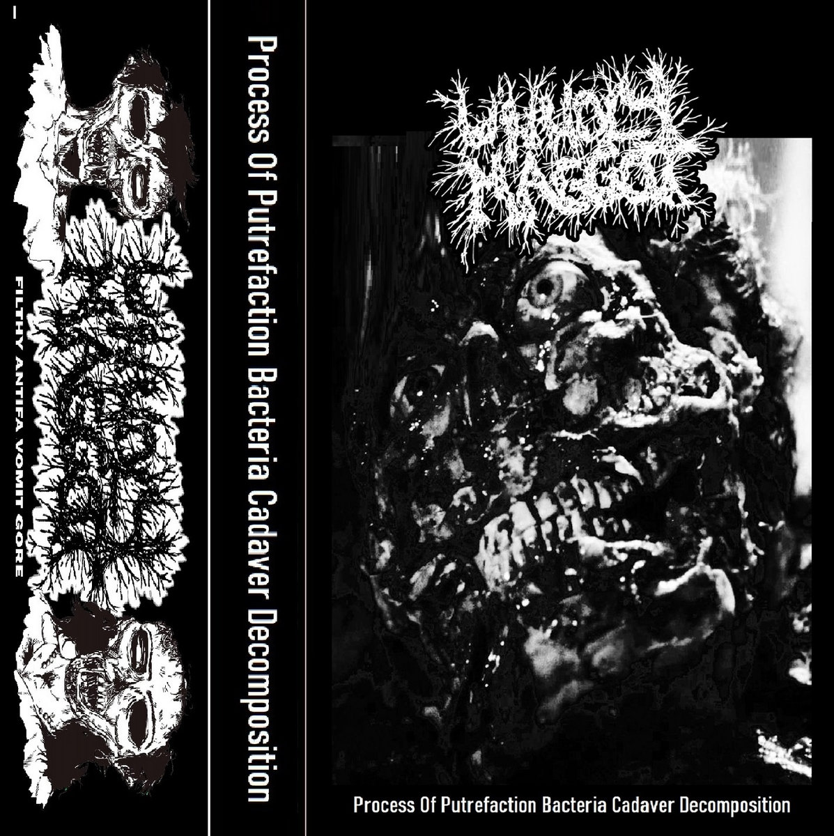 UNHOLY MAGGOT - Process Of Putrefaction Bacteria Cadaver Decomposition ...
