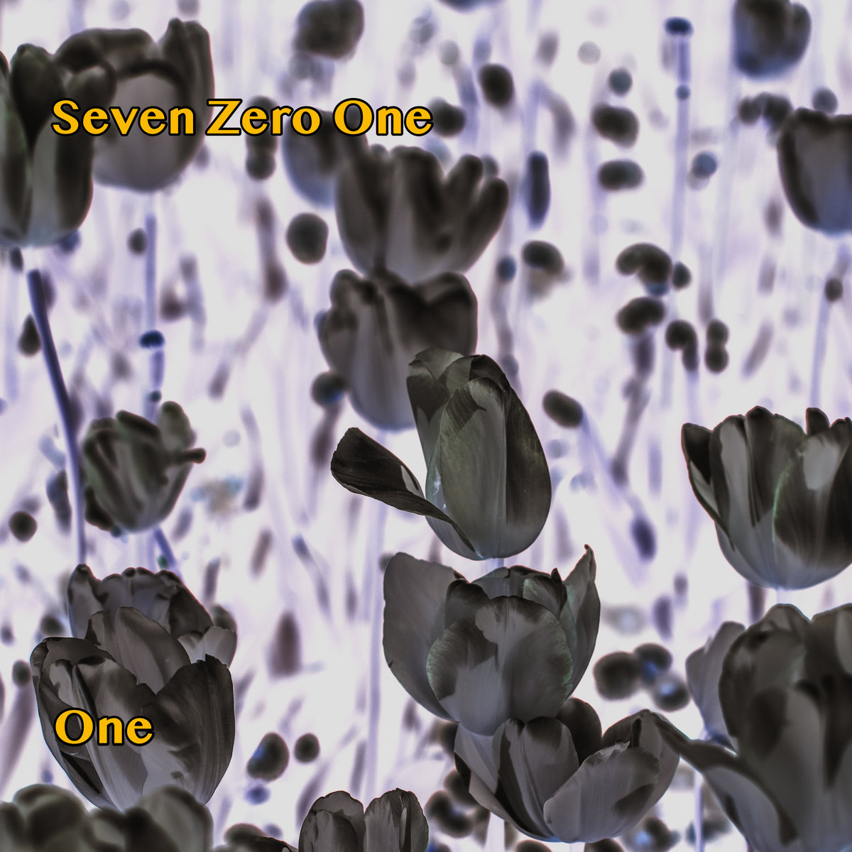 One | Seven Zero One