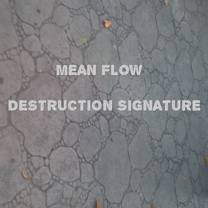 Destruction Signature | Mean Flow