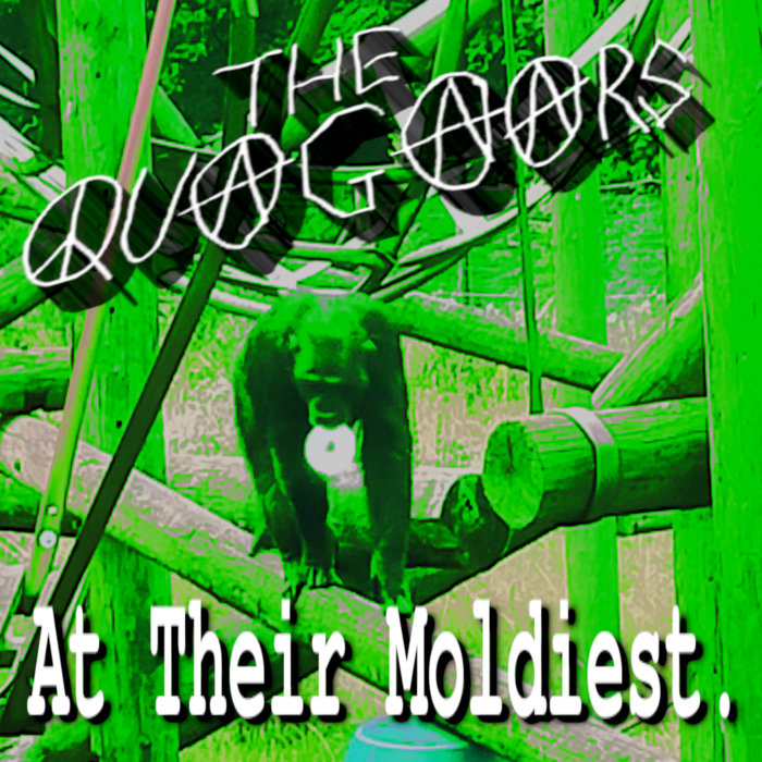 At Their Moldiest | The Quagaars
