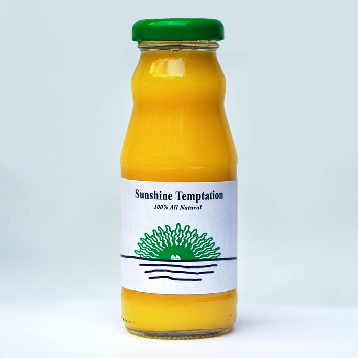 Sunshine Temptation | Chris Gerber | Computer Toys