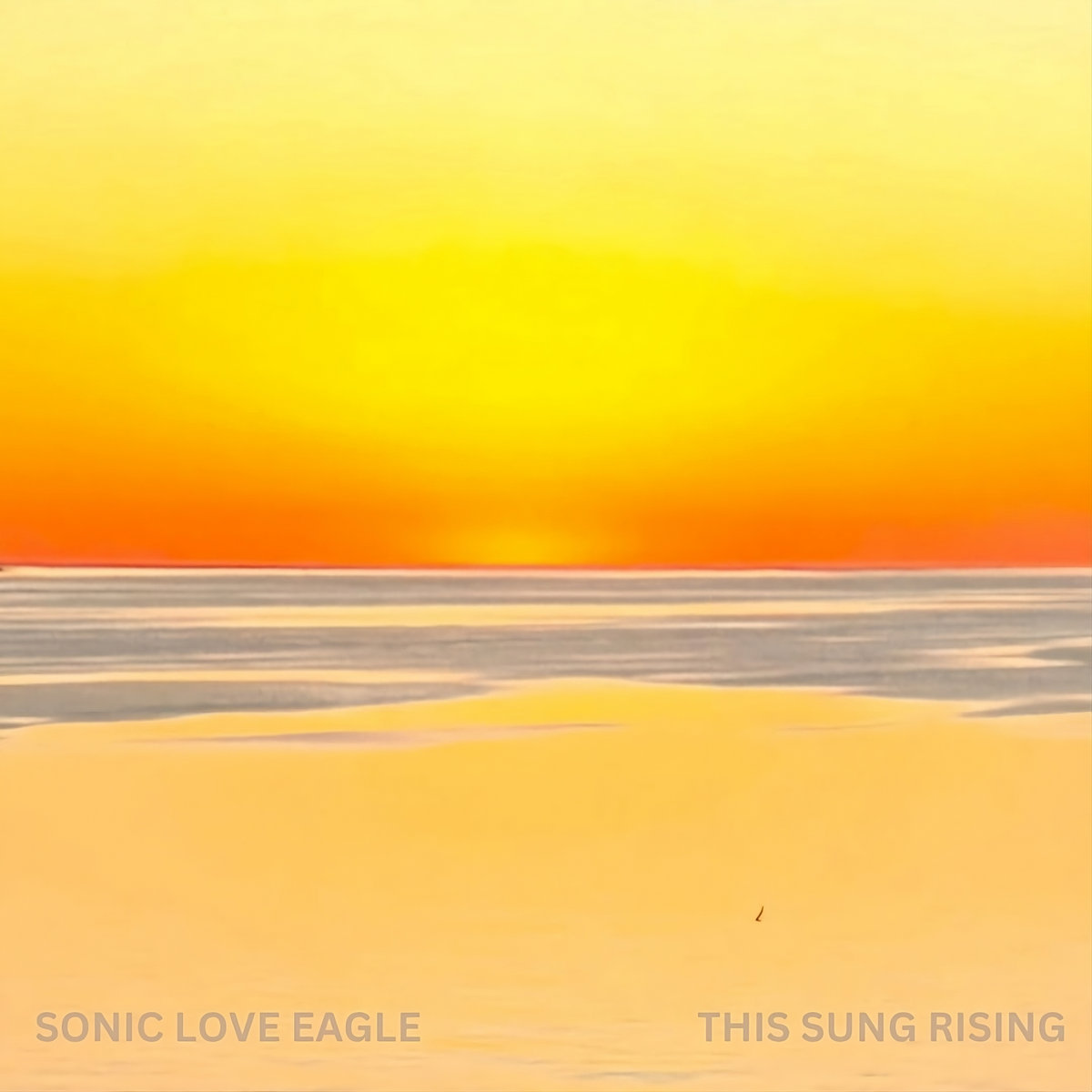 this sung rising | sonic love eagle | Sonic Love Eagle