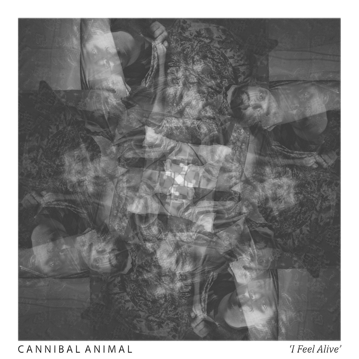 I Feel Alive | Cannibal Animal