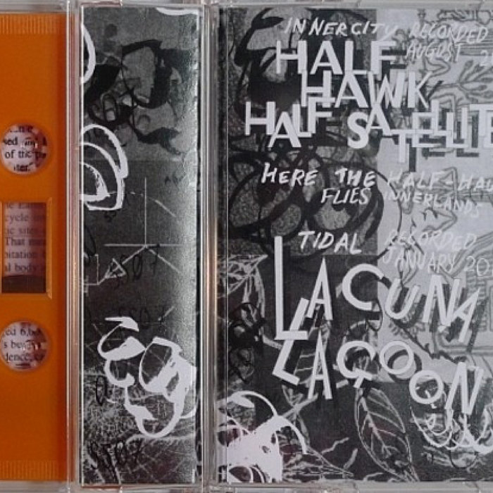 half-hawk/half-satellite | Innercity