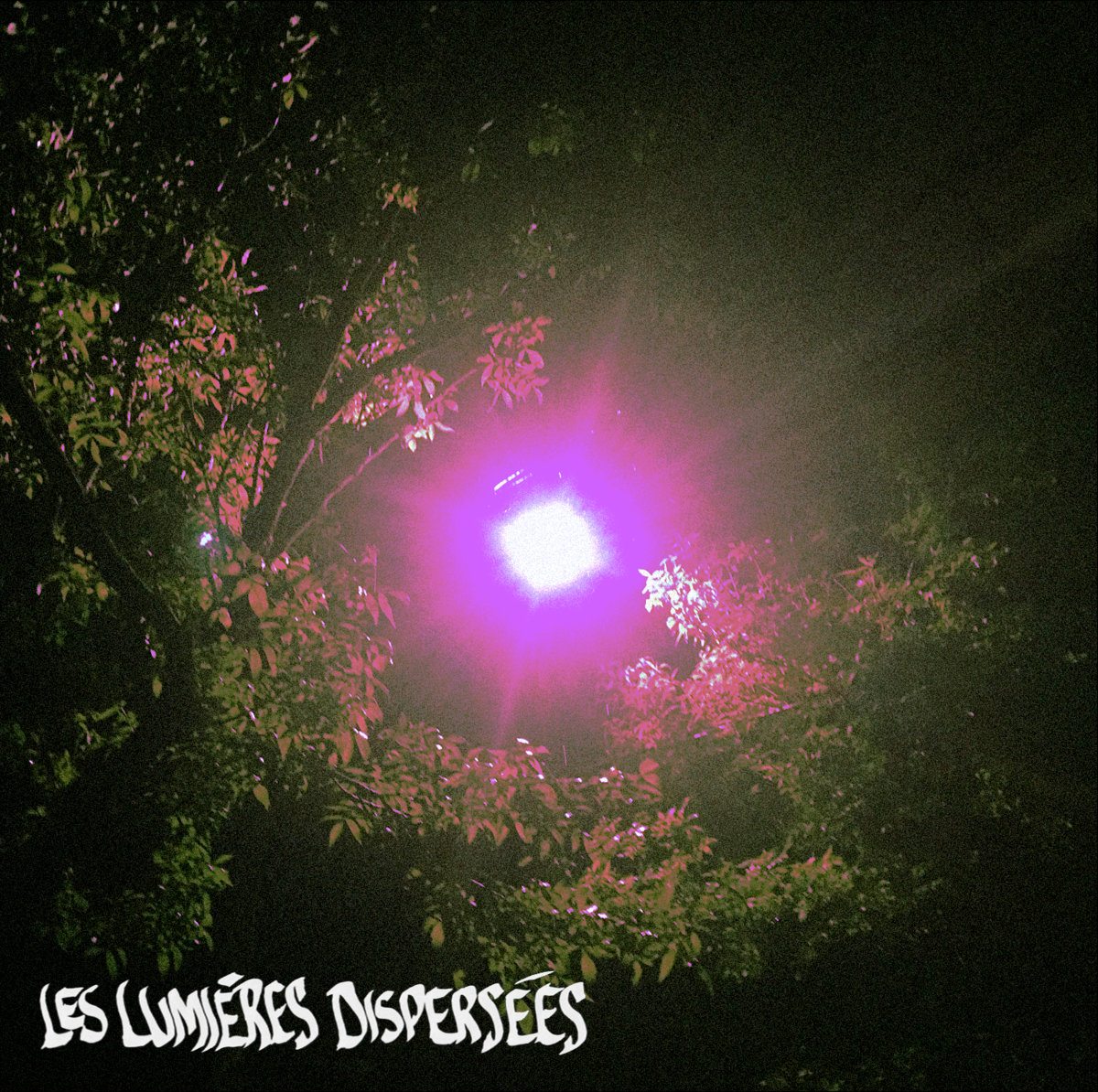 Les lumières dispersées | Alexandre Charest