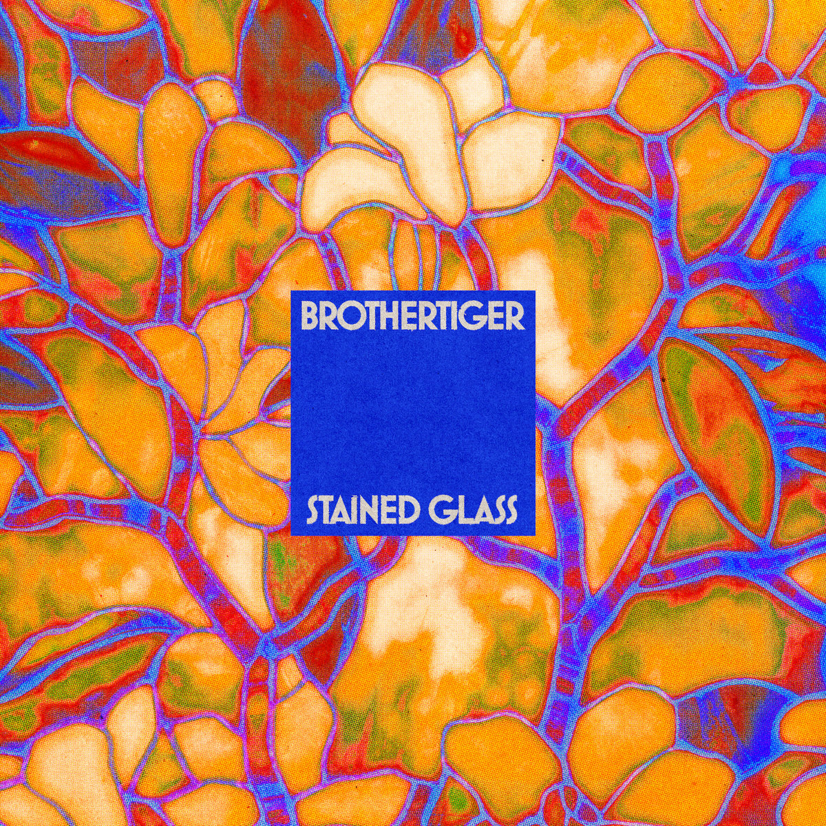 Stained Glass | Brothertiger