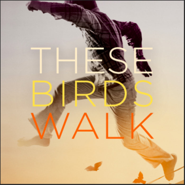 These Birds Walk (Film Score) | Todd Reynolds