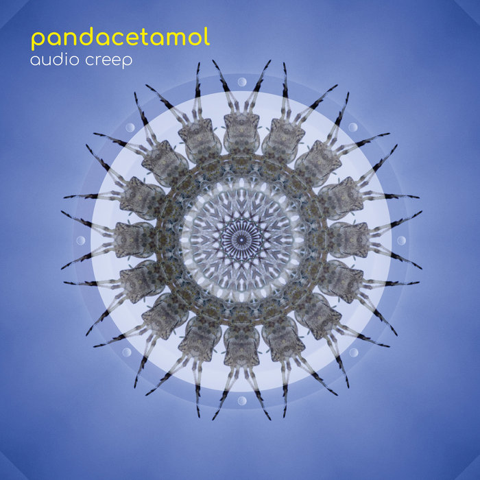 Audio Creep | Pandacetamol | Rednetic