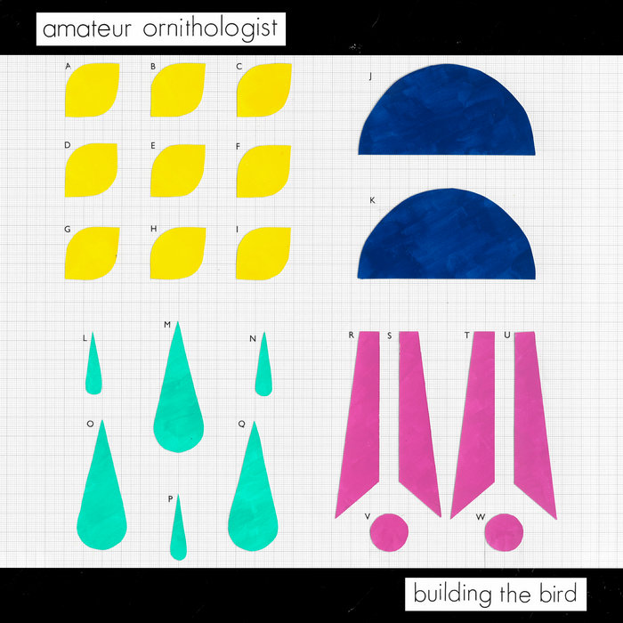 Building the Bird | Amateur Ornithologist