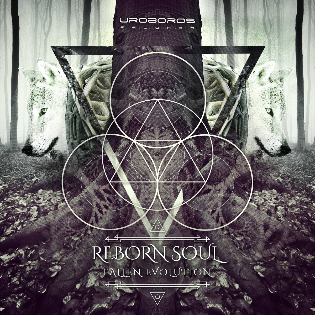 Fallen Evolution | Reborn Soul | Uroboros Records