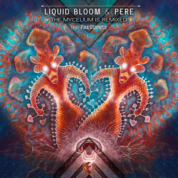 The Mycelium is Remixed | Liquid Bloom & PERE, Featuring Paul Stamets ...