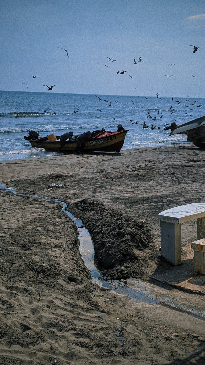 Wavy Jones Riddim Versions | Prod Wavy Jones | Wavy Jones /Locker//