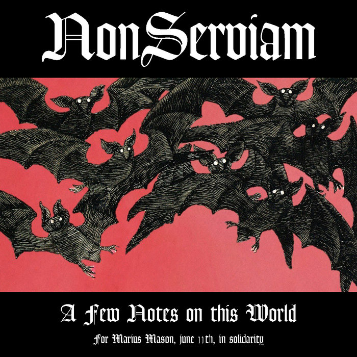 A few notes on this world - for Marius Mason, june 11th, in solidarity ...