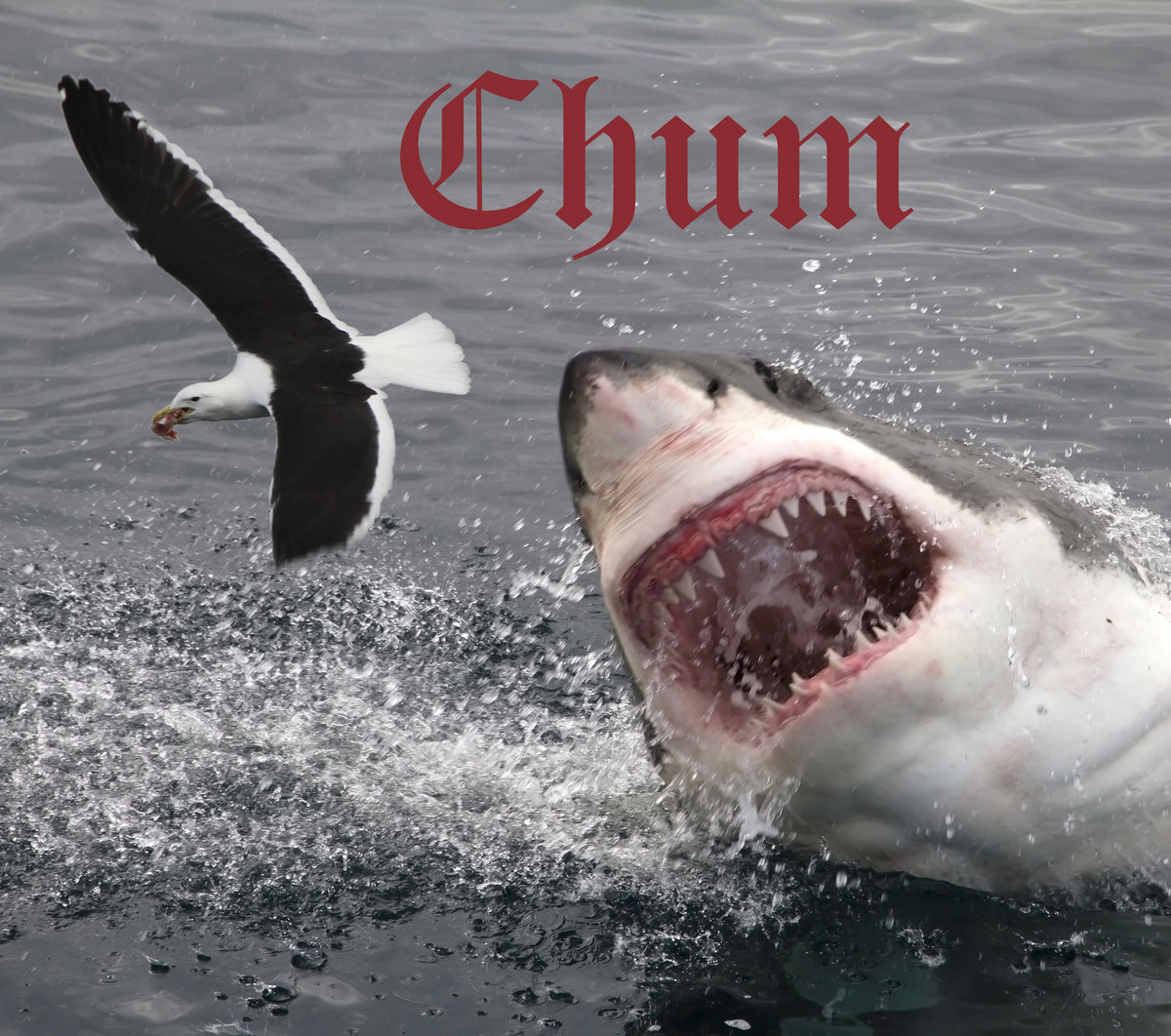 Chum | Moss Lakes