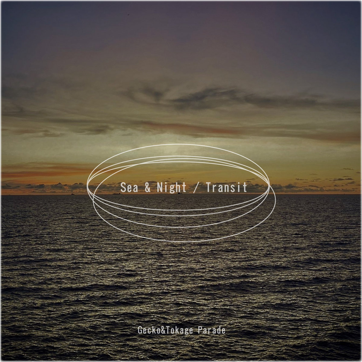 Sea & Night / Transit | Gecko&Tokage Parade