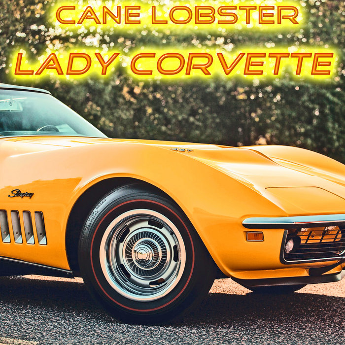 Lady Corvette | Cane Lobster
