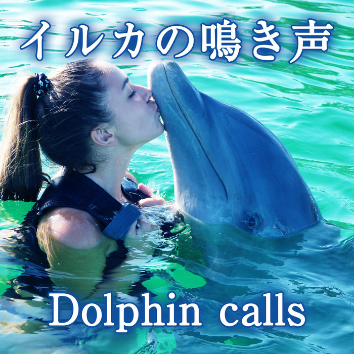 Dolphin calls | Japanese Nature Sounds