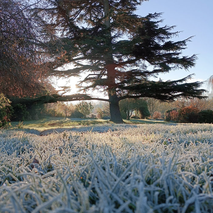 Winter Morning Mist | Lucie Tenet