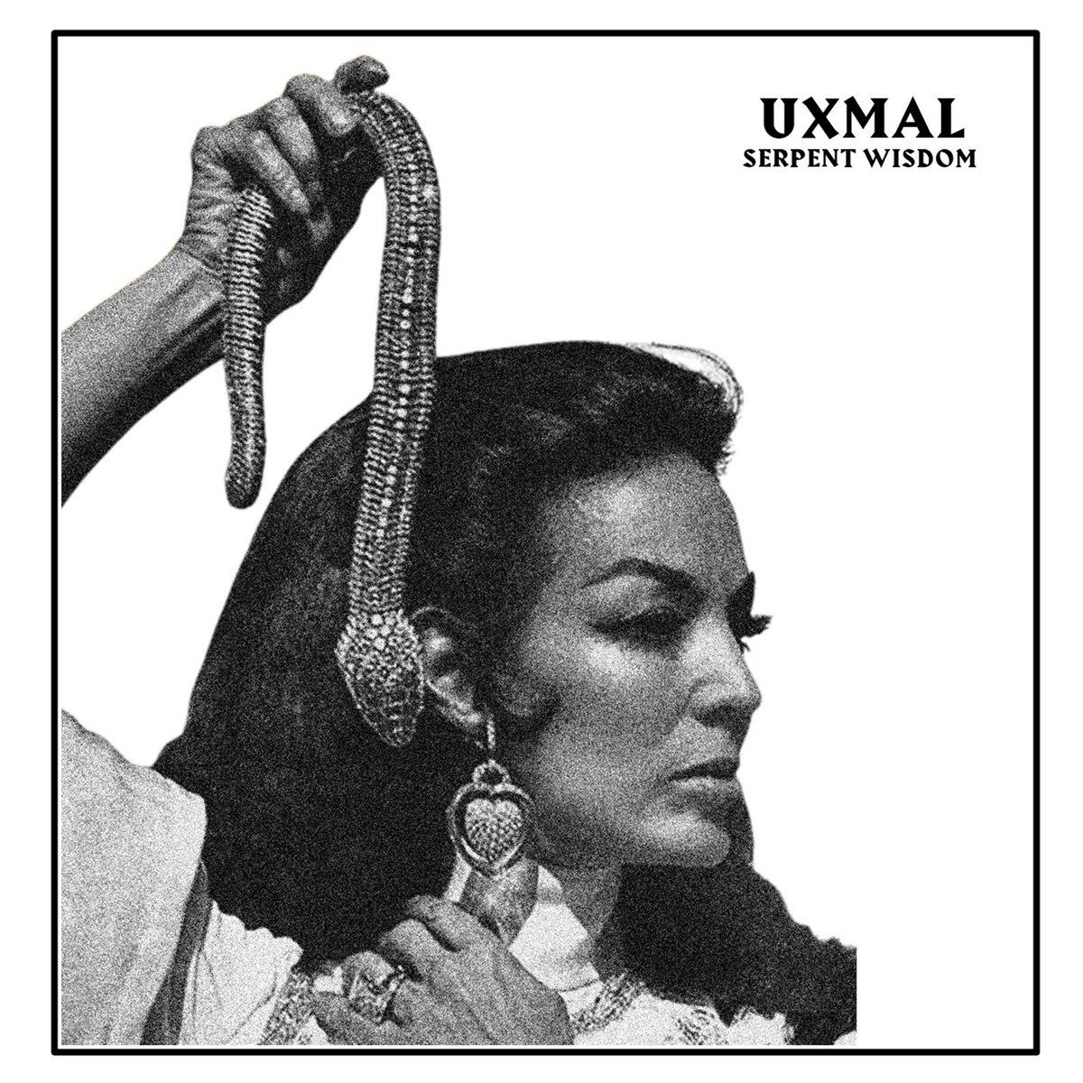 Serpent Wisdom | UXMAL