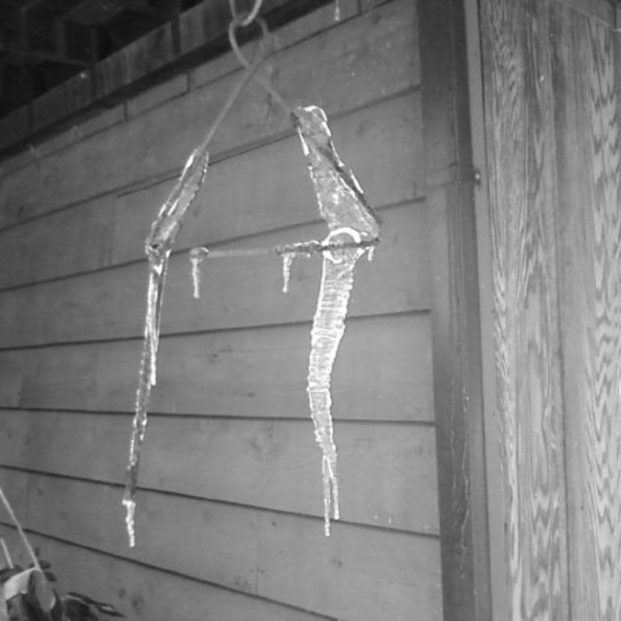 Heaven Now/Save the Yeti: An Ecological Manifesto | J.H. Friedrick