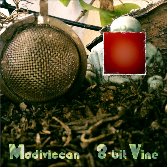 8-bit Vine | modiviccan