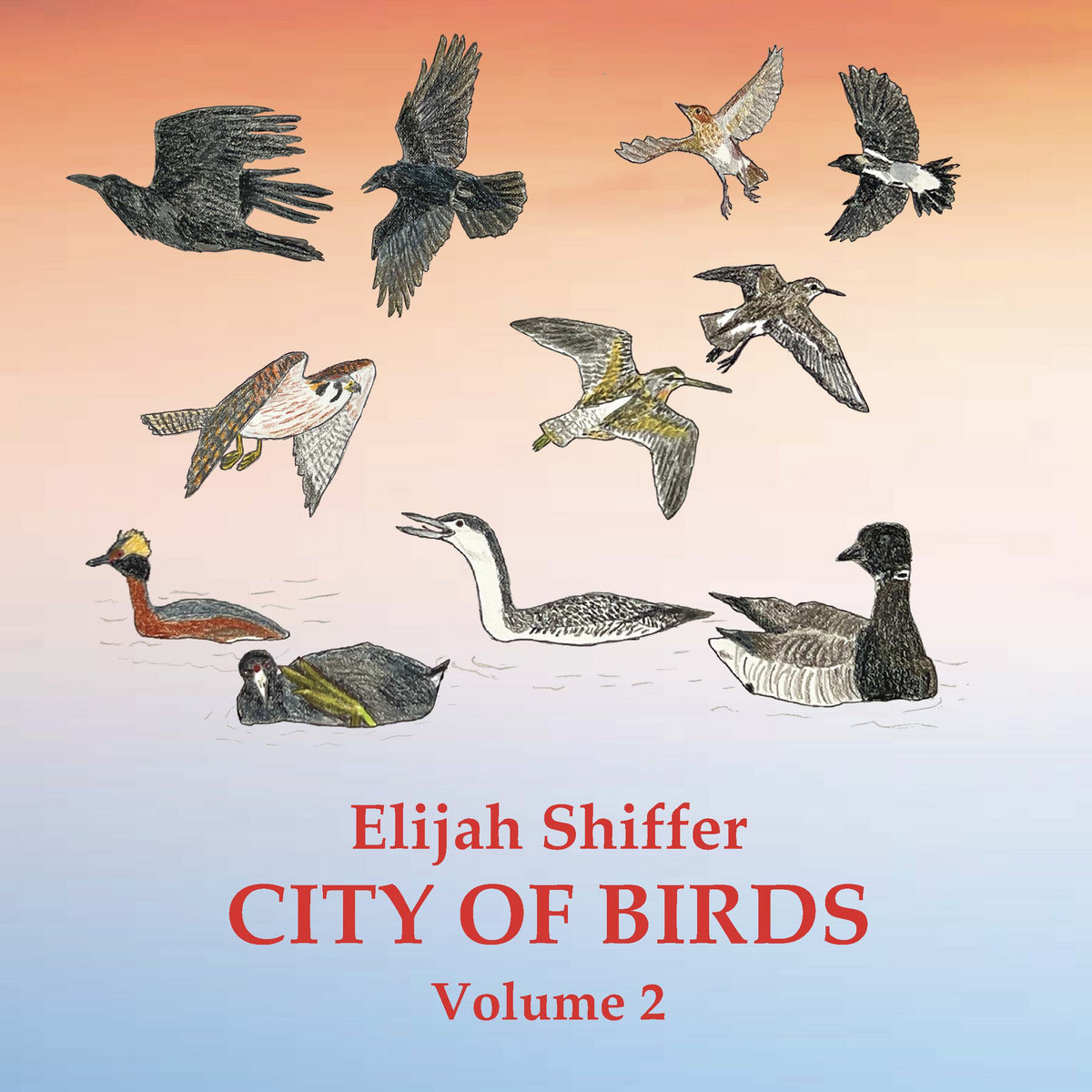 City Of Birds, Volume 2 | Elijah Shiffer