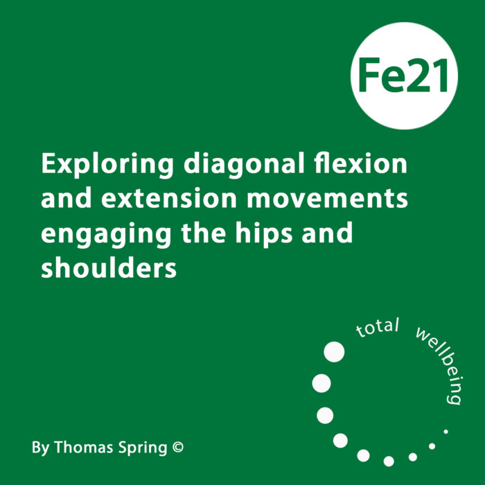 Fe21 Exploring diagonal flexion and extension movements engaging the ...