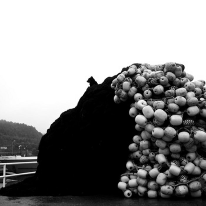 Niebla | M O N T E I S O L A | Wild Silence (Label)