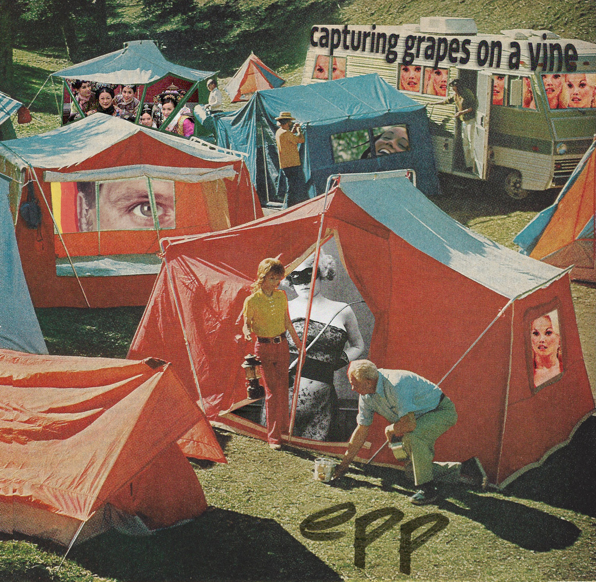 Capturing Grapes on a Vine | Brian Epp