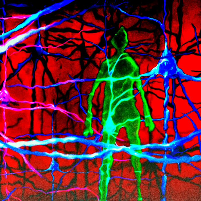 zyphora experimental phonk breakcore | zyronell