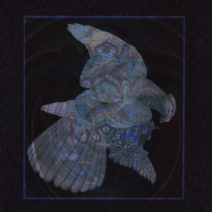 July Demo Session | Pauldron