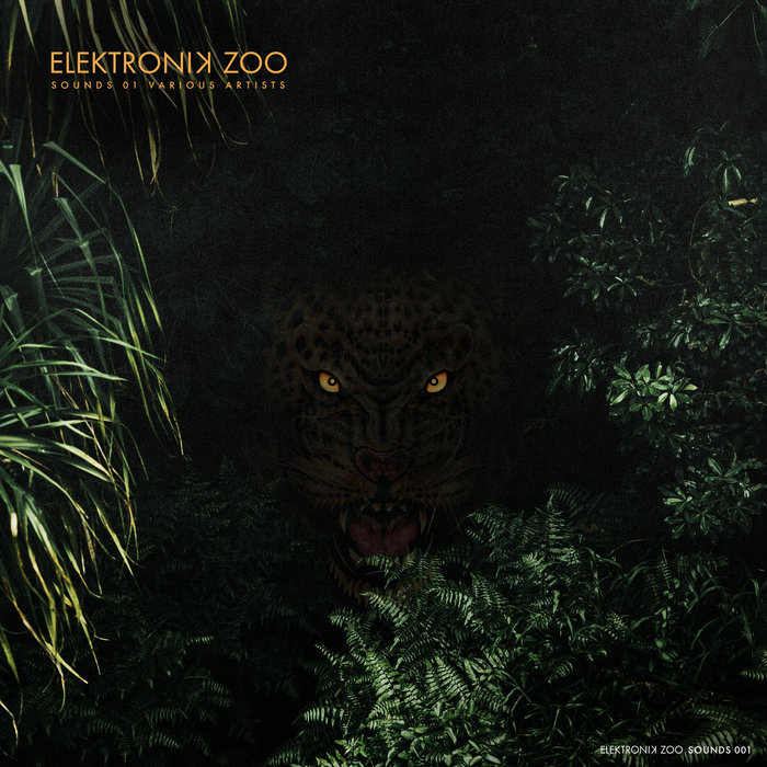 Elektronik Zoo Sounds 001 | Marco Bailey, Josh Wink, Voltaire, Dany ...