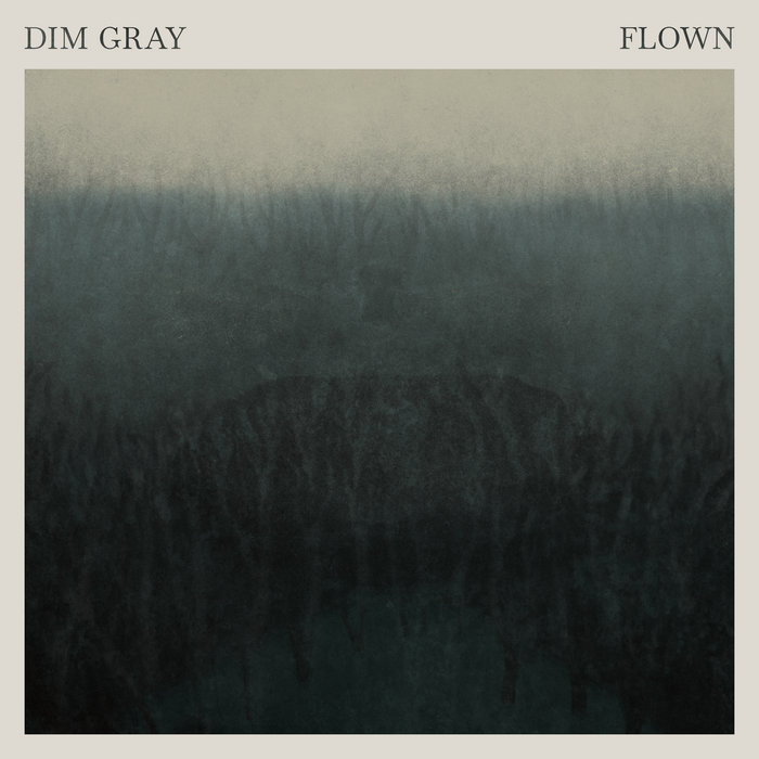 Flown | Dim Gray