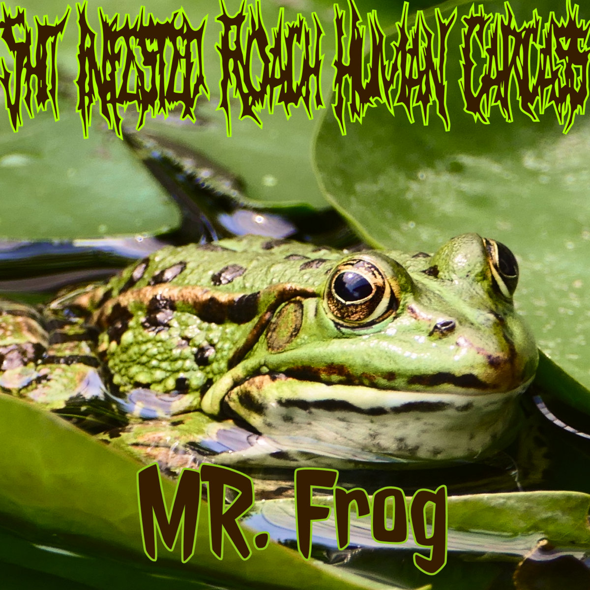 Mr. Frog | Shit Infested Roach Human Carcass