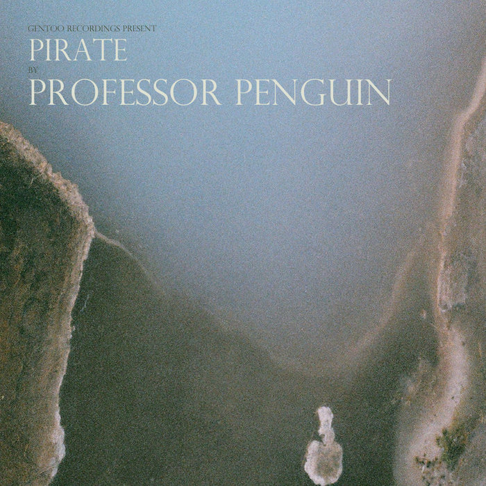 Pirate | Professor Penguin