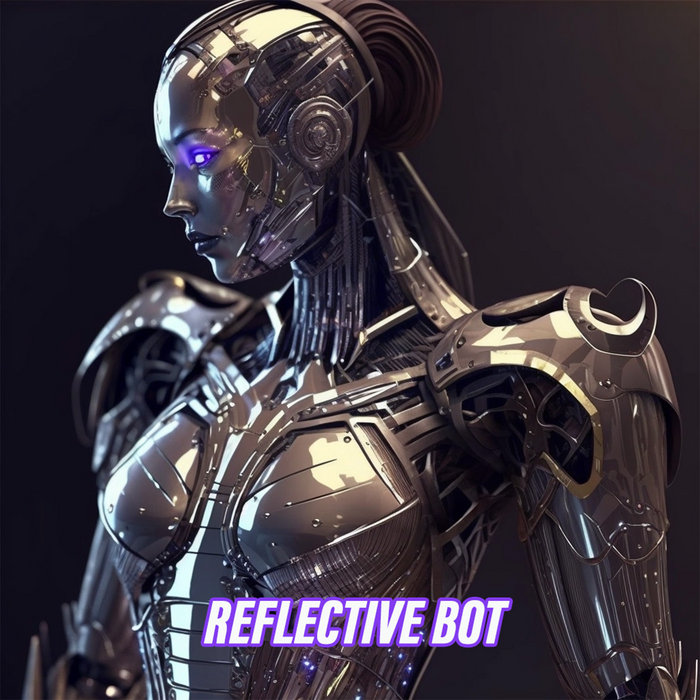 Reflective Bot | Perma Grin