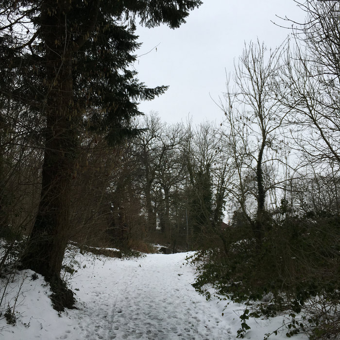 We All Consume Waveforms | Martin Reed & The Splintered Fingers