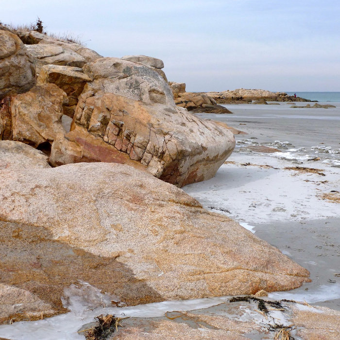 Testy Test | Taloner