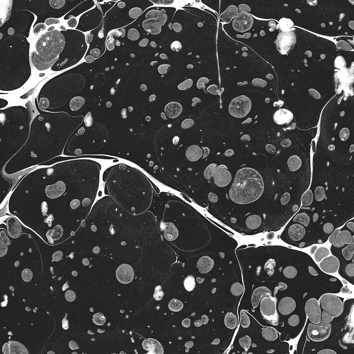 a brain-dead exercise of plastic sound | wiesengrund | Wiesengrund