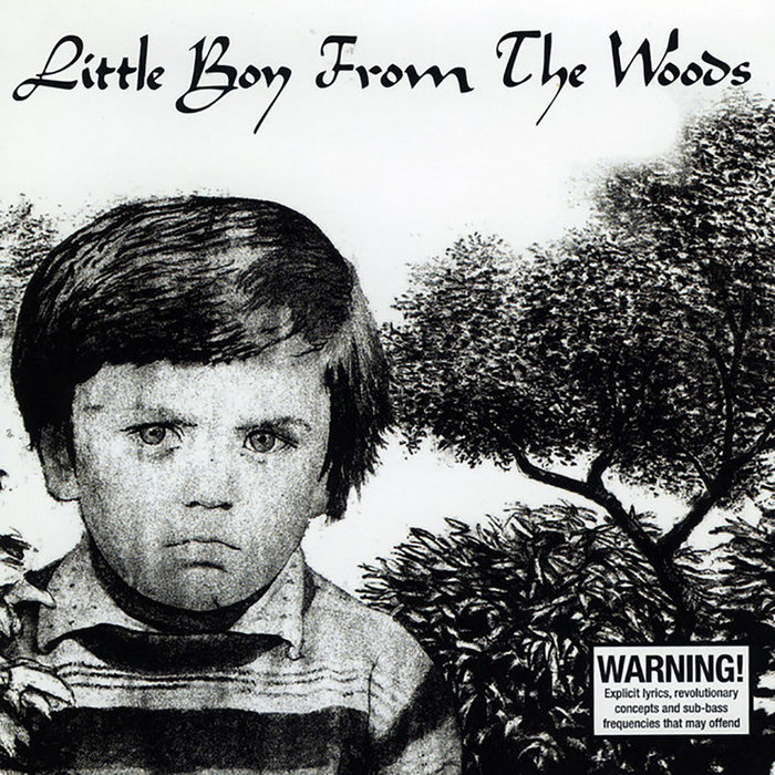 Little Boy From The Woods - Self Titled | Secret Music Records
