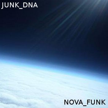 NOVA_FUNK | JUNK_DNA