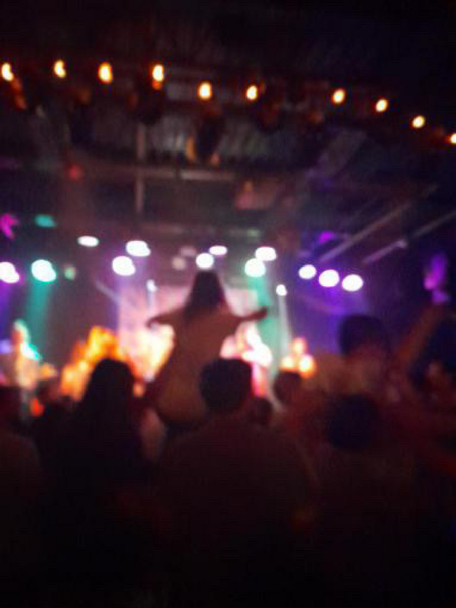 Live at Jammin Java | Knope