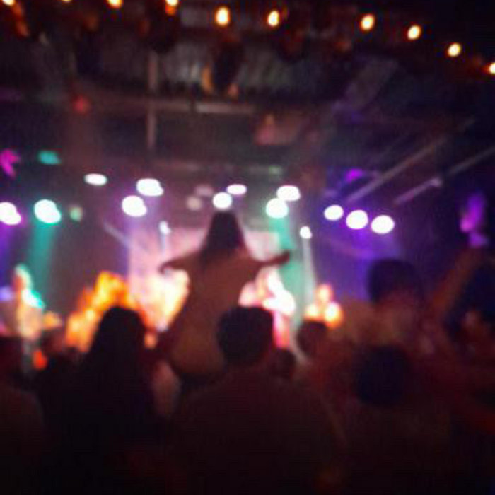 Live at Jammin Java | Knope