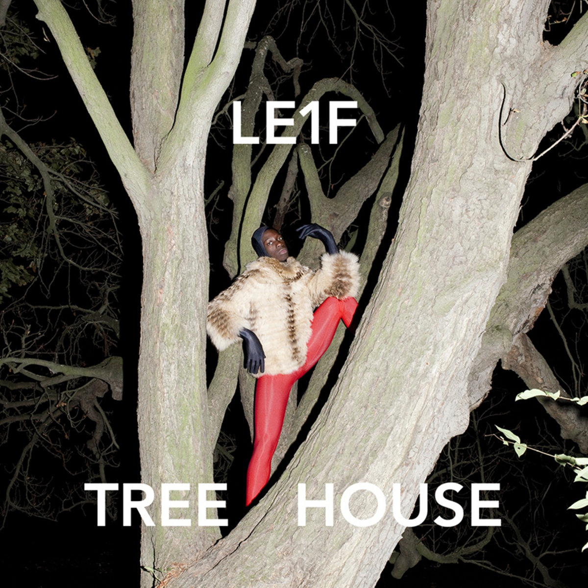 Tree House (Mixtape) | Kalifa (fka Le1f) | Seapunk Memory