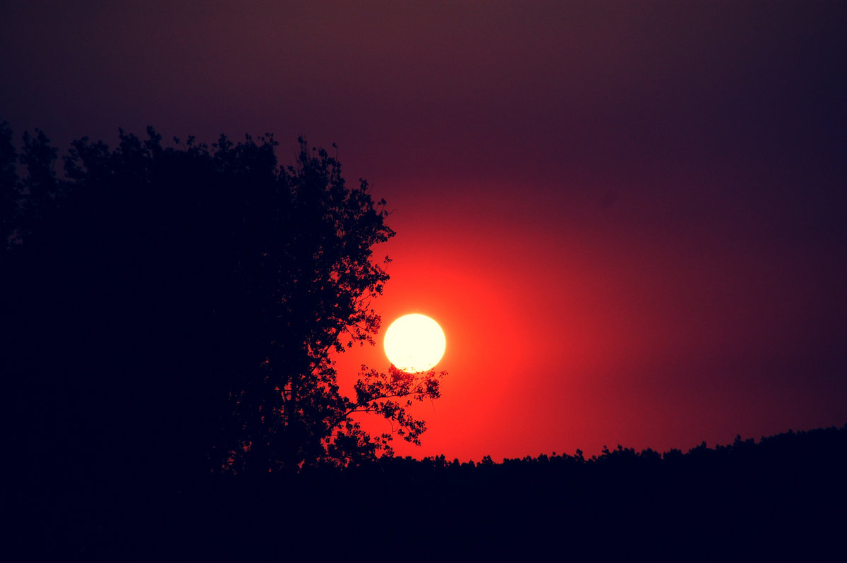 Shadow Sun | Shadow Sun