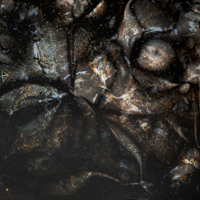 Pollination | Amina Cyu