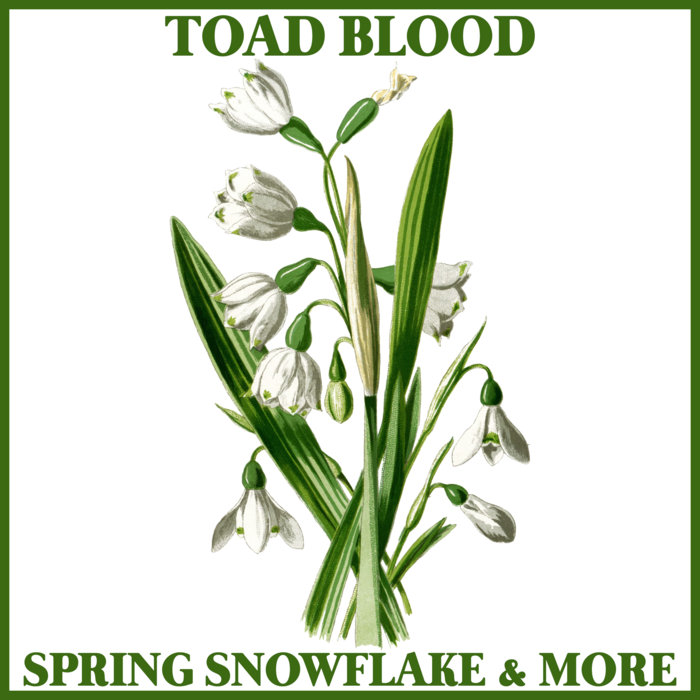 Spring Snowflake & More | Toad Blood | the Tidal Charm