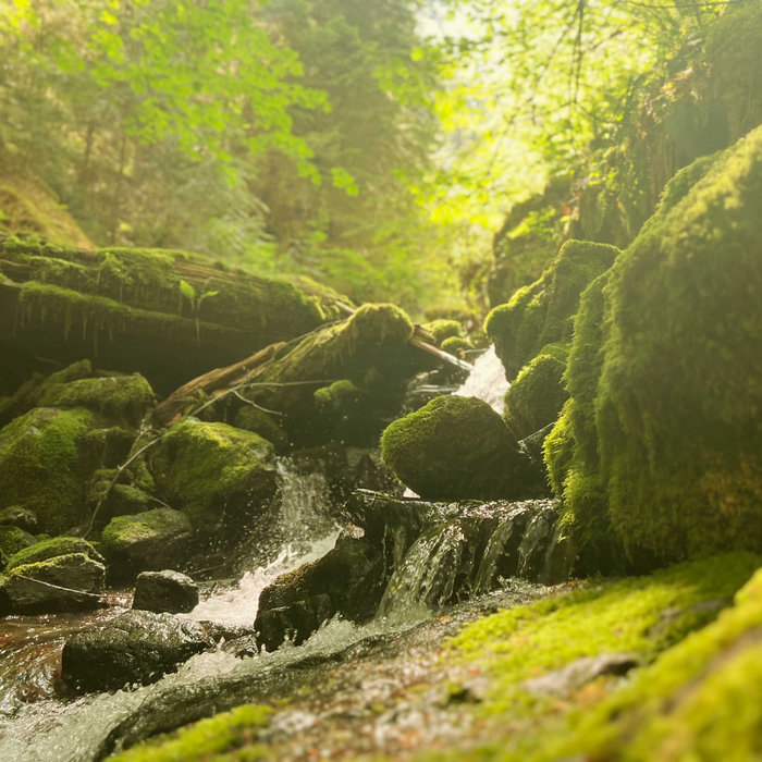 Awestruck feat. Lexington Keyz | Akal Dub | Jumpsuit Records