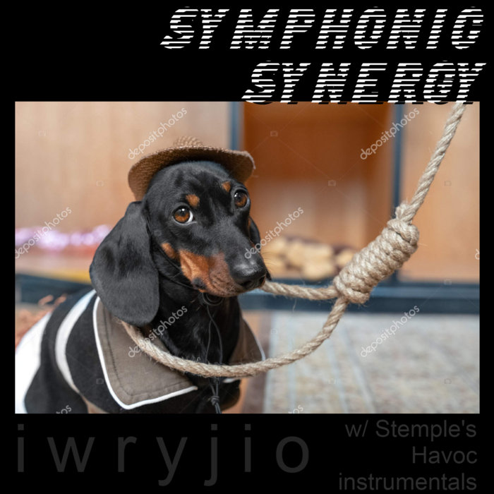 I W R Y J I O b/ instrumentals | Symphonic Synergy