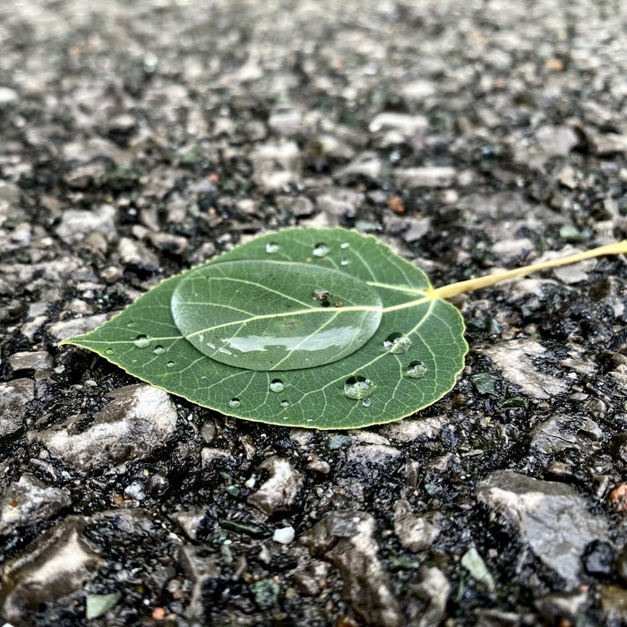 Dominic Smith | Dominic Smith